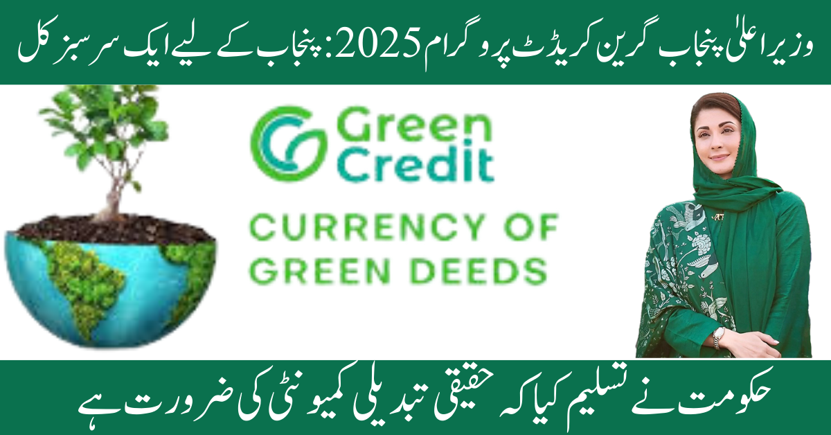 CM Punjab Green Credit Program 2025: A Greener Tomorrow For Punjab