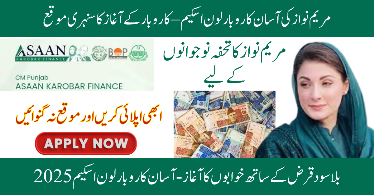 Asaan Karobar Card Scheme 2025: A Game-Changer For Small Businesses In ...